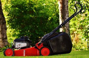 Different Types Of Lawn Mower Brands: Updated Guide for 2022